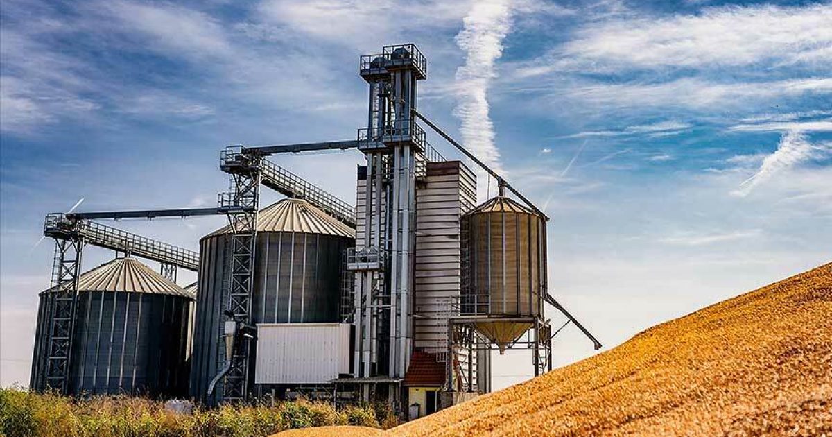 Rodent Control | Farms Rural Properties | Spiderman SE