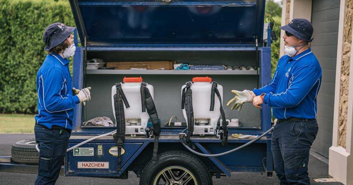 General Pest Control Treatments | Pest Inspections | Spiderman SE