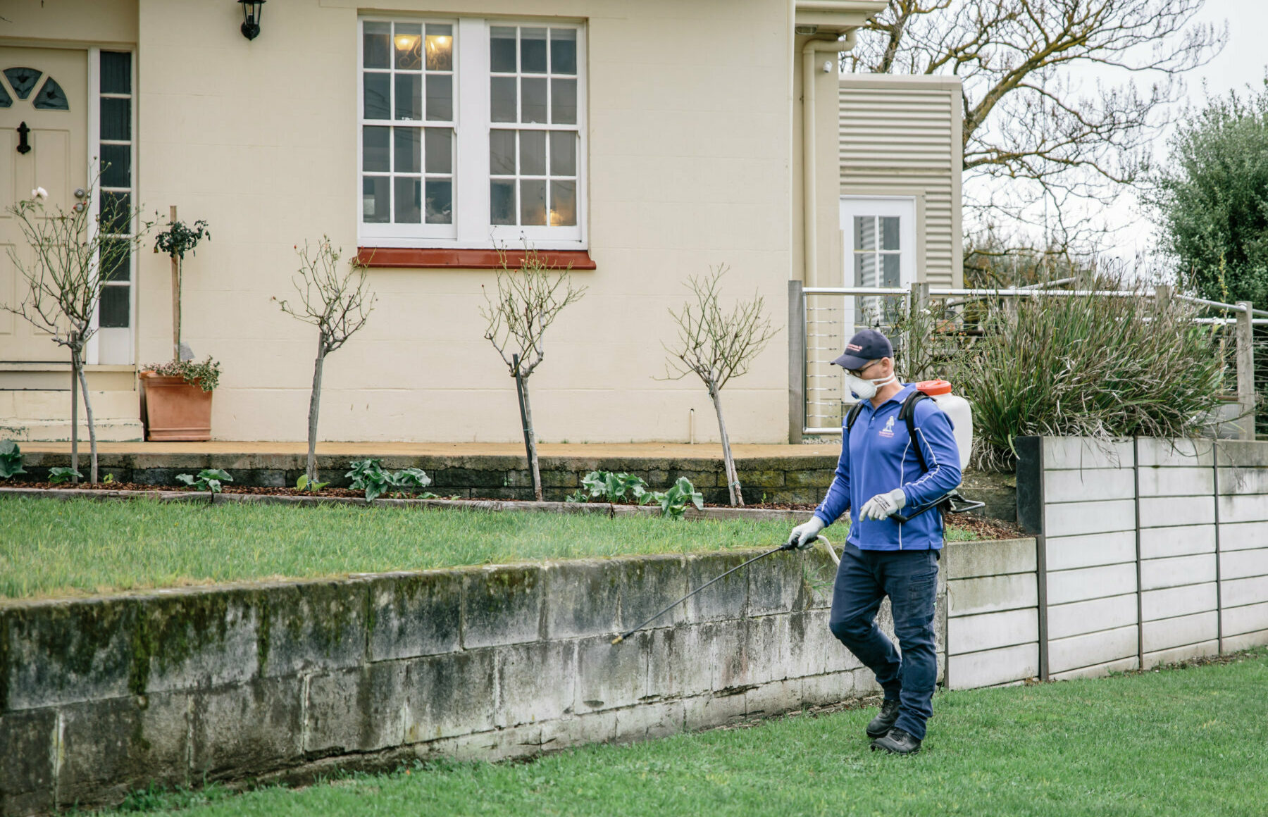 Pest Control Treatments | Extreme Weather | La Nina | Spiderman